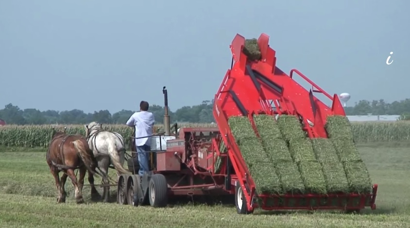 Hoe Amish te werk gaan.