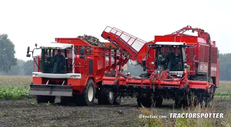 Suikerbieten rooien met een gloednieuwe Holmer / Agrifac Hexx Traxx 12 ...