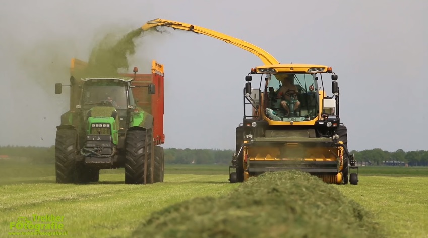 Gras hakselen door loonbedrijf Veldkamp uit Haule --Trekker Fotografie