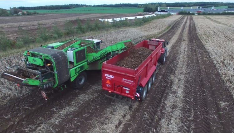 AVR Puma+ | 4-rijer aardappelrooier | Case IH 240 CVX