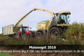 Muizenplaag in Gaasterland Om de muizen te verdelgen wordt het grasland ...