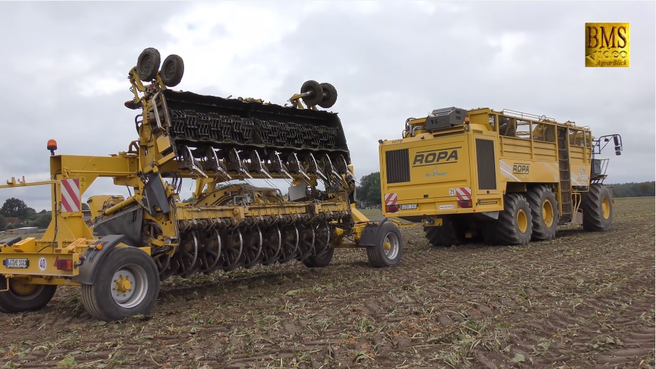 ROPA Euro Tiger V8-4 XL -Suikerbietenoost 2016