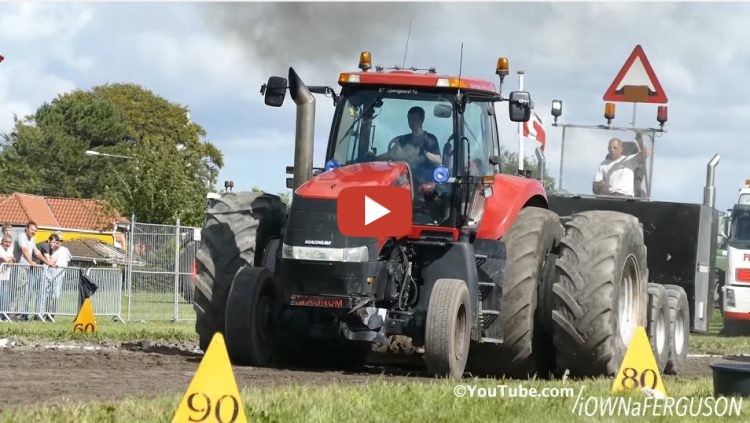 Case IH 210, 225, 230 Puma & 310, 7110 Magnum | Tractor Pulling Denemarken