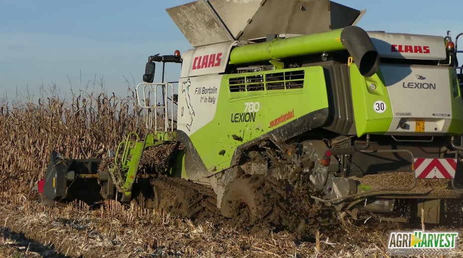 Claas Lexion 780 TT oogst in de modder. Agriharvest