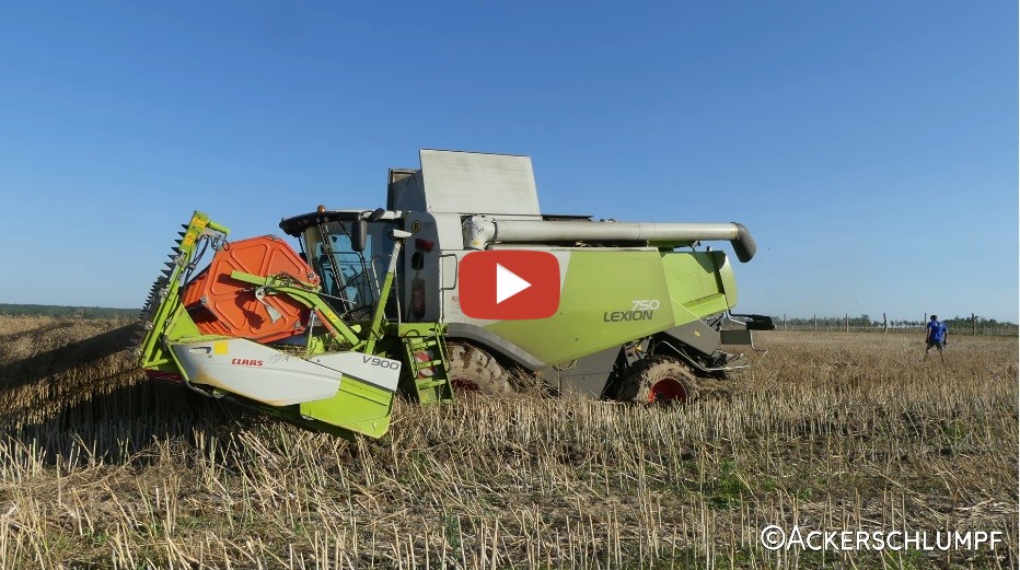 Claas Lexion 750 in Hongarije vastgereden........