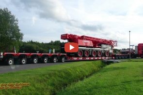 Muizenplaag in Gaasterland Om de muizen te verdelgen wordt het grasland ...