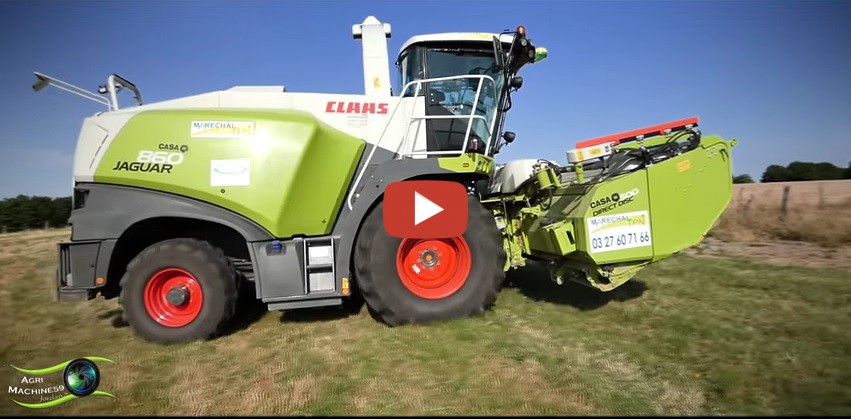 Ensilage de blé triticale avec une Claas jaguar 860, avec un bec direct ...