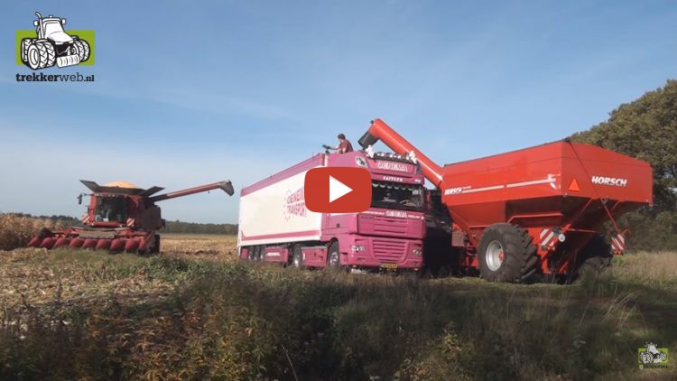 Mais dorsen |Case IH AXIAL-FLOW 8230 | Steyr Terrus 6300 CVT | Horsch ...