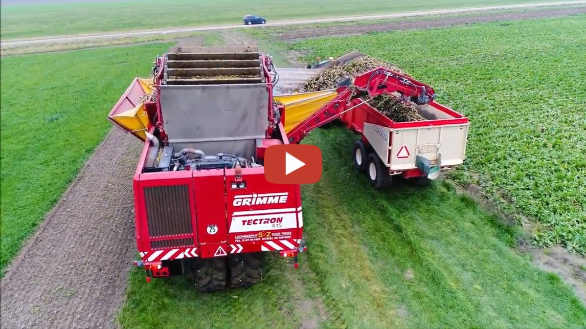 Witlofpennen rooien door Loonbedrijf Van der Sluijs & Van Zielst uit ...