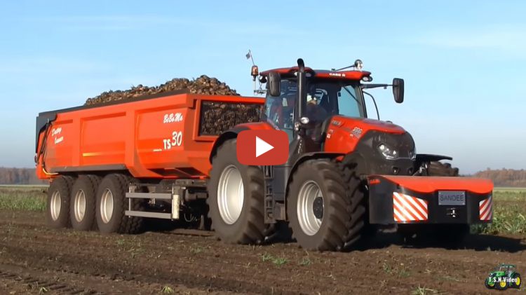 Landbouw- en loonbedrijf: Sandee .............Bieten oogst Hexx Traxx ...