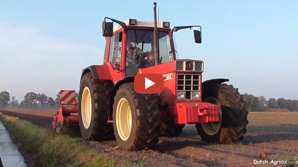 International 956 XL - Grondbewerking - Deurne -- Dutch Agriculture