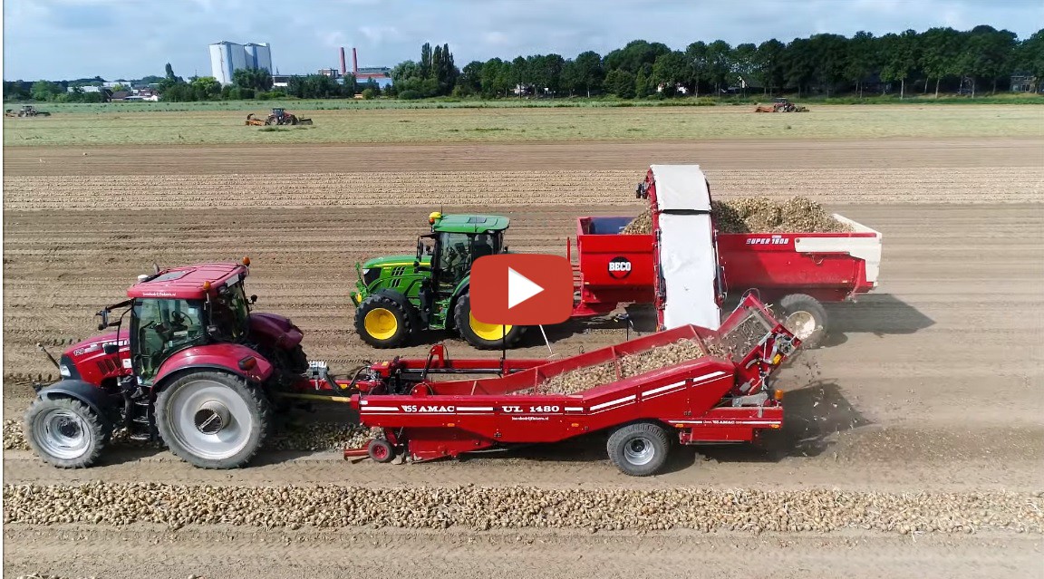 Loonbedrijf Lokers.. Uien rooien & opladen. Opladen door een Case IH ...