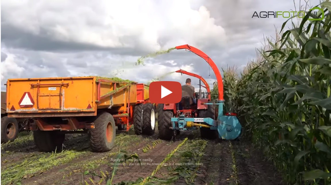 Oldtimer hakselen in Giethoorn 2019 met Steyr 8300 & FOX Max II. Deurz ...