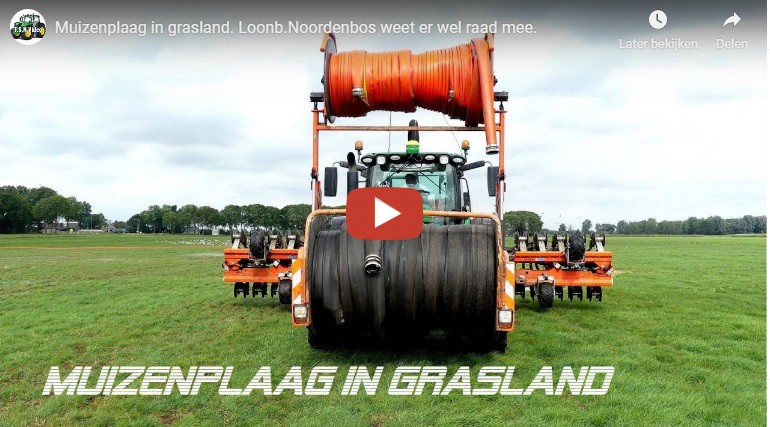 Muizenplaag in grasland. Loonbedrijf Noordenbos weet er wel raad mee ...