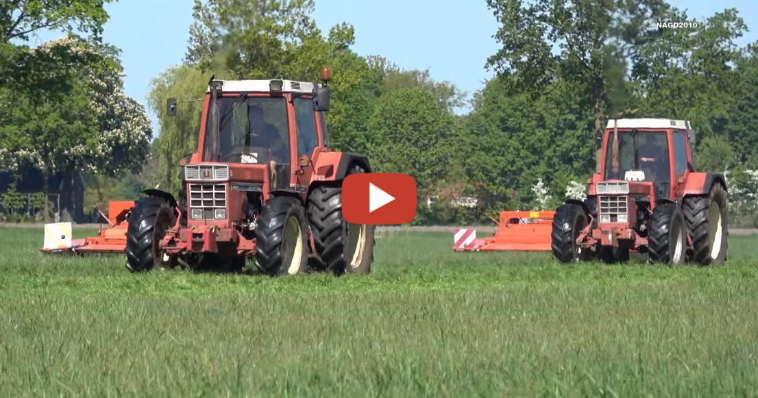 nagd2010 -- Melkveebedrijf Bosch - Gras maaien 2020 met twee IHC 1056 XL Ergo-S en een Case ...