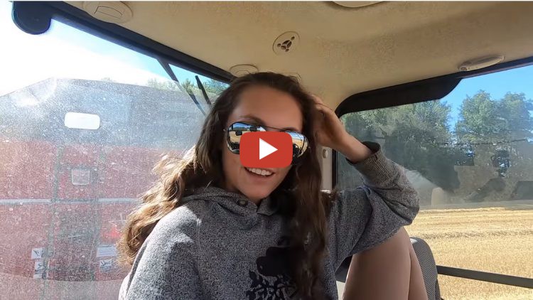 Girlpower....Tarwe oogst 2020 met Jessica Brock in Amerika...