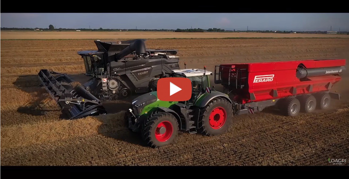 OOGST van tarwe 2020 in Italië met de geheel nieuwe Fendt IDEAL 10T ...