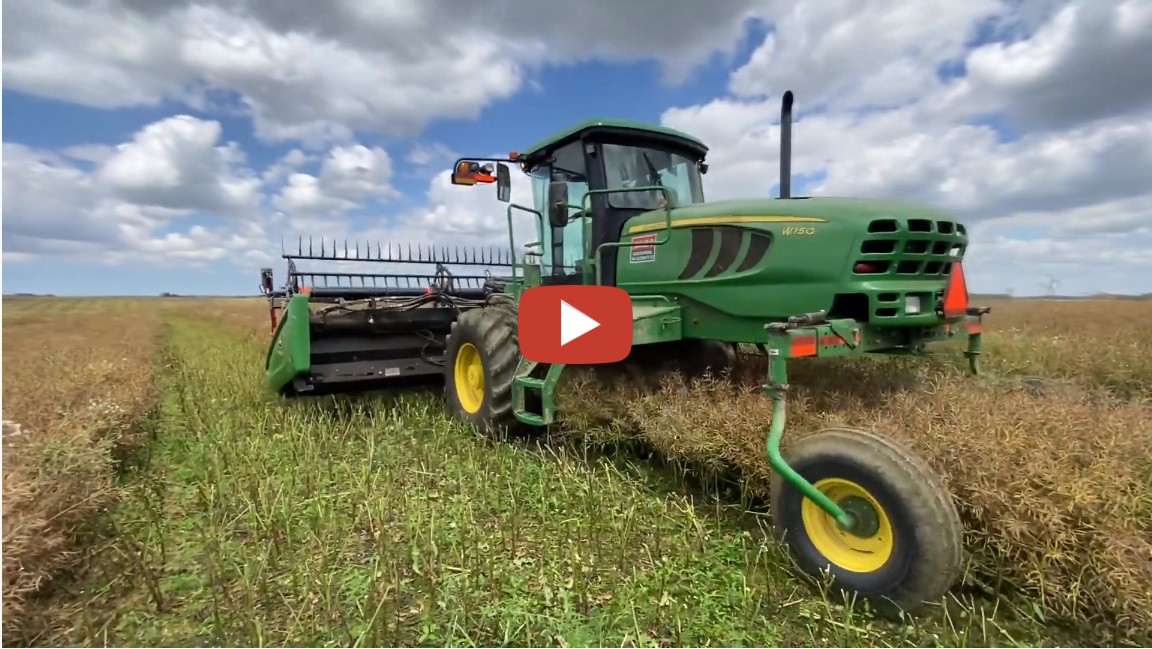 JOHN DEERE W150 windrower uit Canada gehaald om hier koolzaad te maaien ...