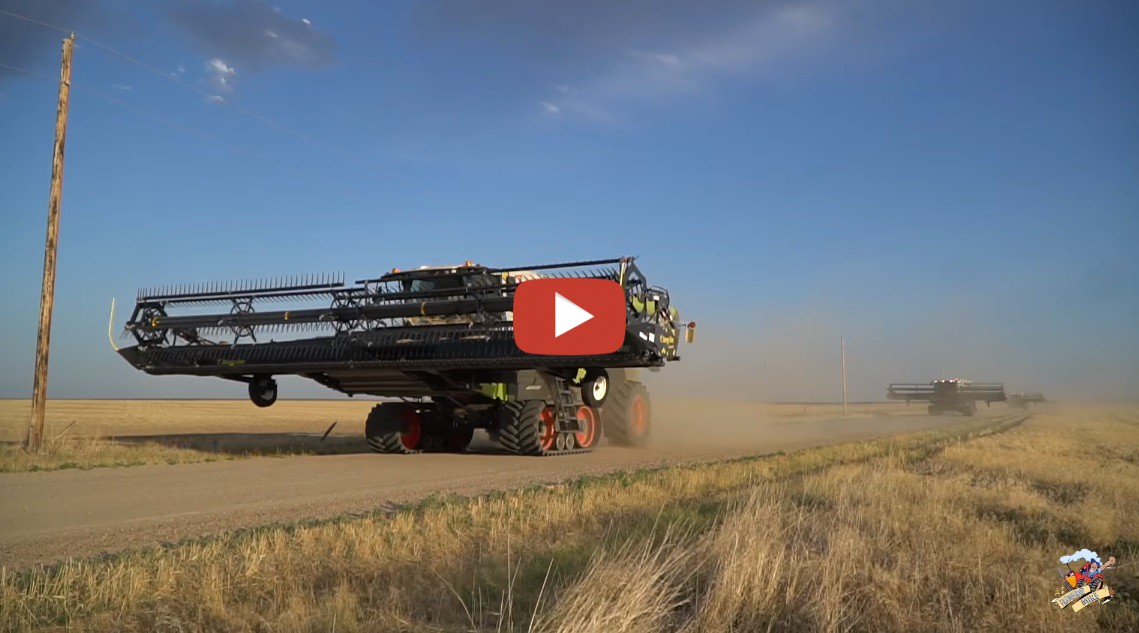 12 Claas Lexion 7400 combines gaan naar het volgende perceel in Byers ...