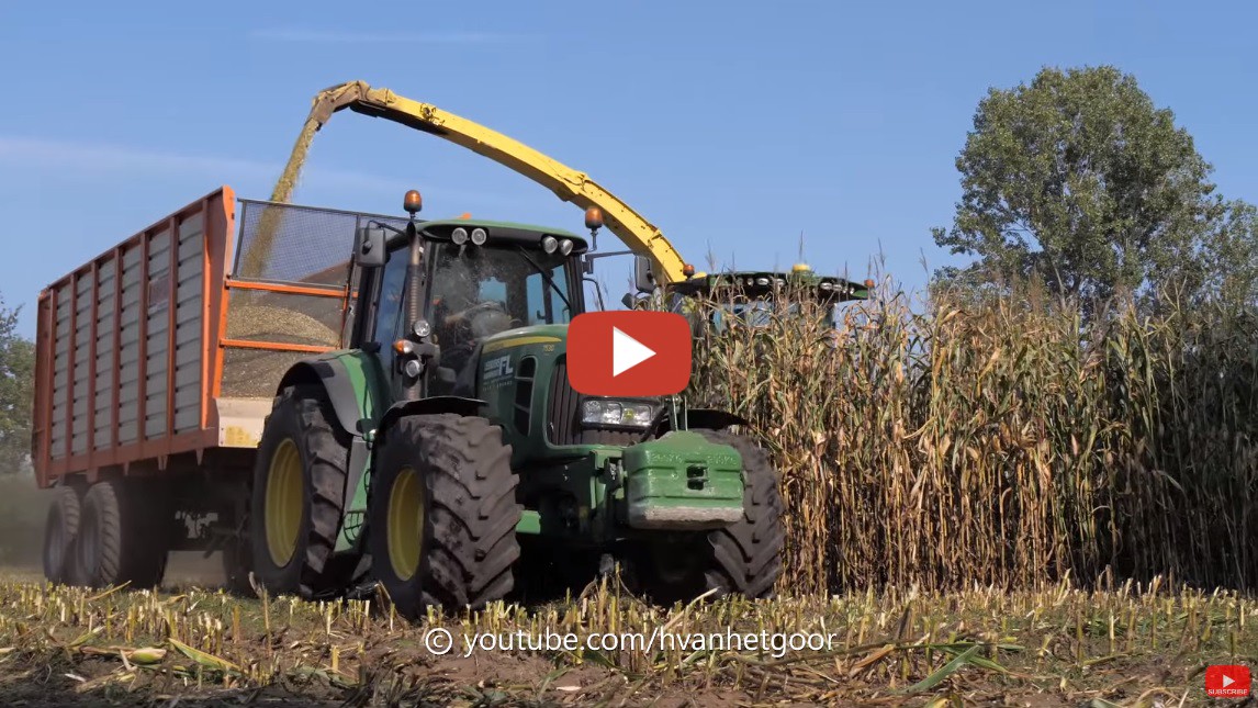 *Mais hakselen 2020 op een stoffig perceel in Brabant, door loonbedrijf ...