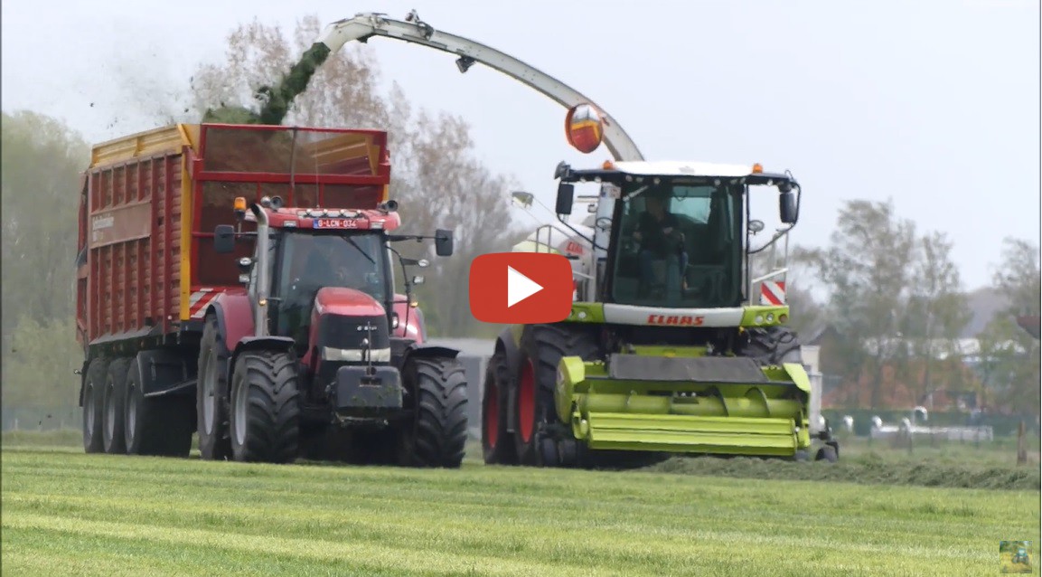 *mijnJD5830 - Loobedrijf Bart Sprangers uit Hoogstraten gras hakselen ...