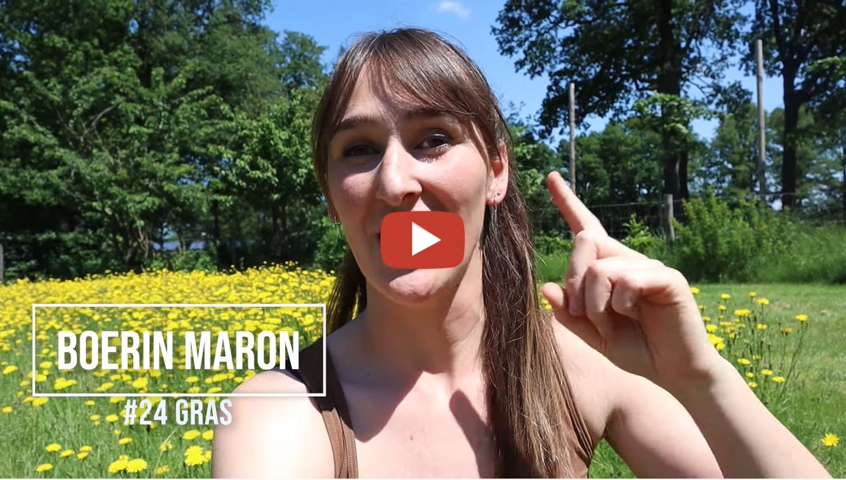 Maron wordt boerin .......Vandaag gras maaien .........en er is veel ...