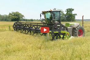 Muizenplaag in Gaasterland Om de muizen te verdelgen wordt het grasland ...