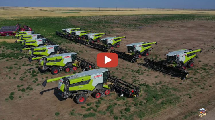 2021 Colorado tarwe oogst met 12 nieuwe Claas Lexion 7500 combines en ...