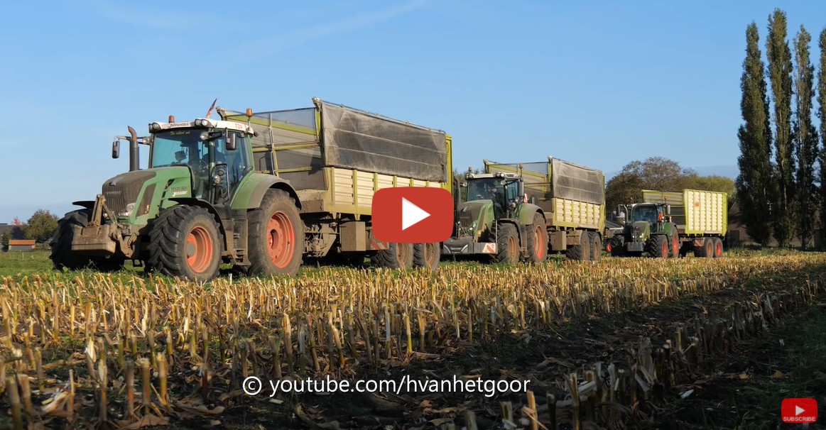 Maisoogst 2021 met loonbedrijf Jennissen met een Claas Jaguar 980 ...