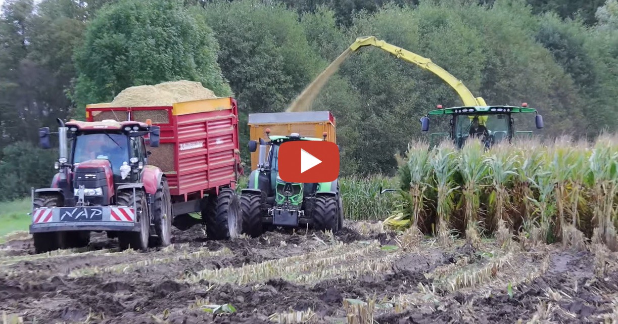 Modderen in de mais --- Loonbedrijf Nap aan het maishakselen met demo ...