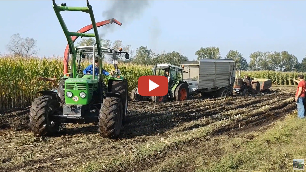 2021 - Old en Youngtimer mais hakselen in België op een nat perceel ...