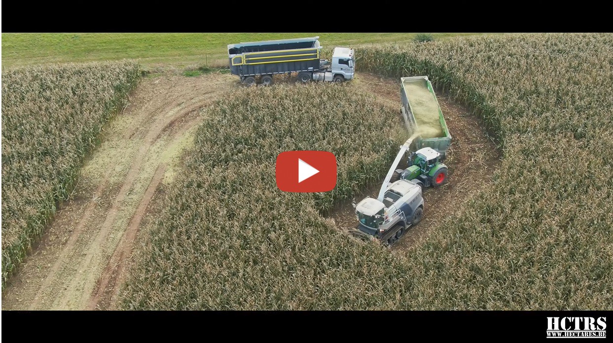 Een perceel mais van 60 ha. losmaaien met een zwarte Claas Jaguar 990 ...