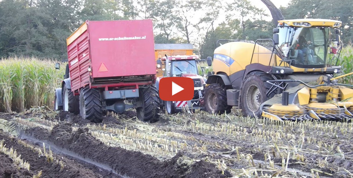 *Modderen in de mais - Loonbedrijf Nap aan het maishakselen op nat ...