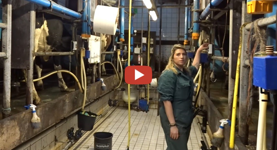 Boerin Romy - Koeienvlog Ik ga weer eens melken, en ik neem jullie mee ...