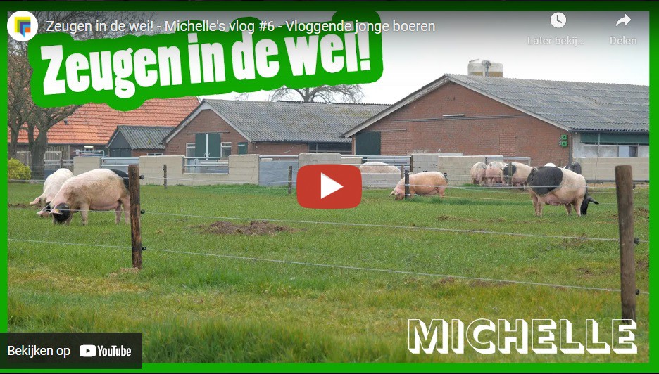 *Michelle zorgt er hoogspersoonlijk voor dat elke big gelegenheid ...