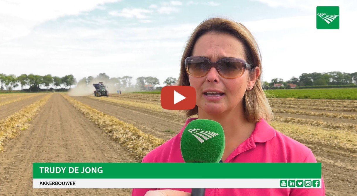 *Twee weken eerder dan normaal worden bij de akkerbouwer Trudy de Jong ...