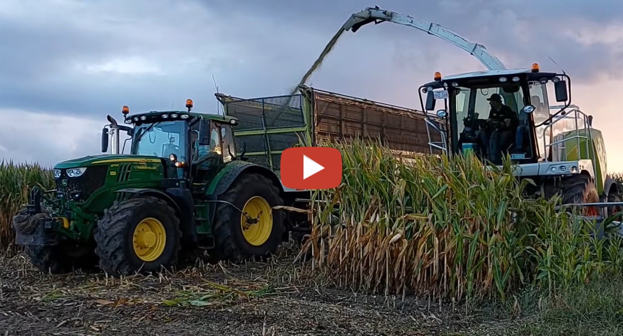 De gekochte mais van Boer Gerrit wordt gehakseld door loonbedrijf ...