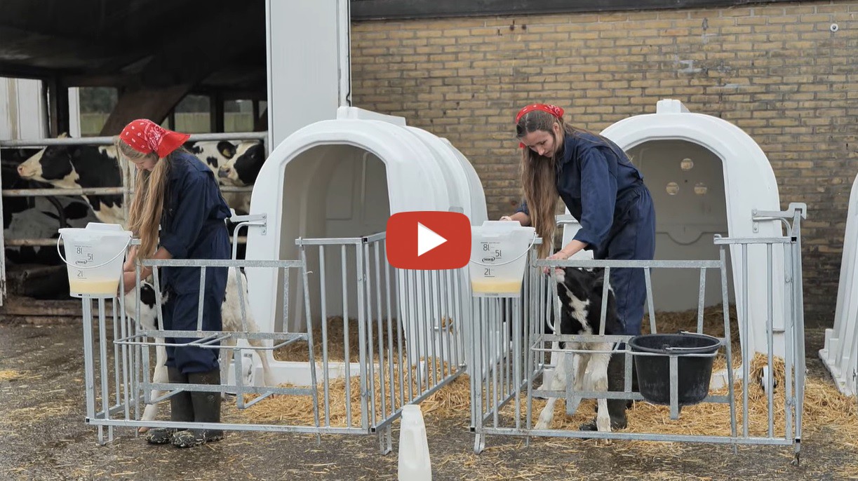 BoerENverstand -Kalverhuisvesting!- Verschillende kalverhokken, iglo's ...