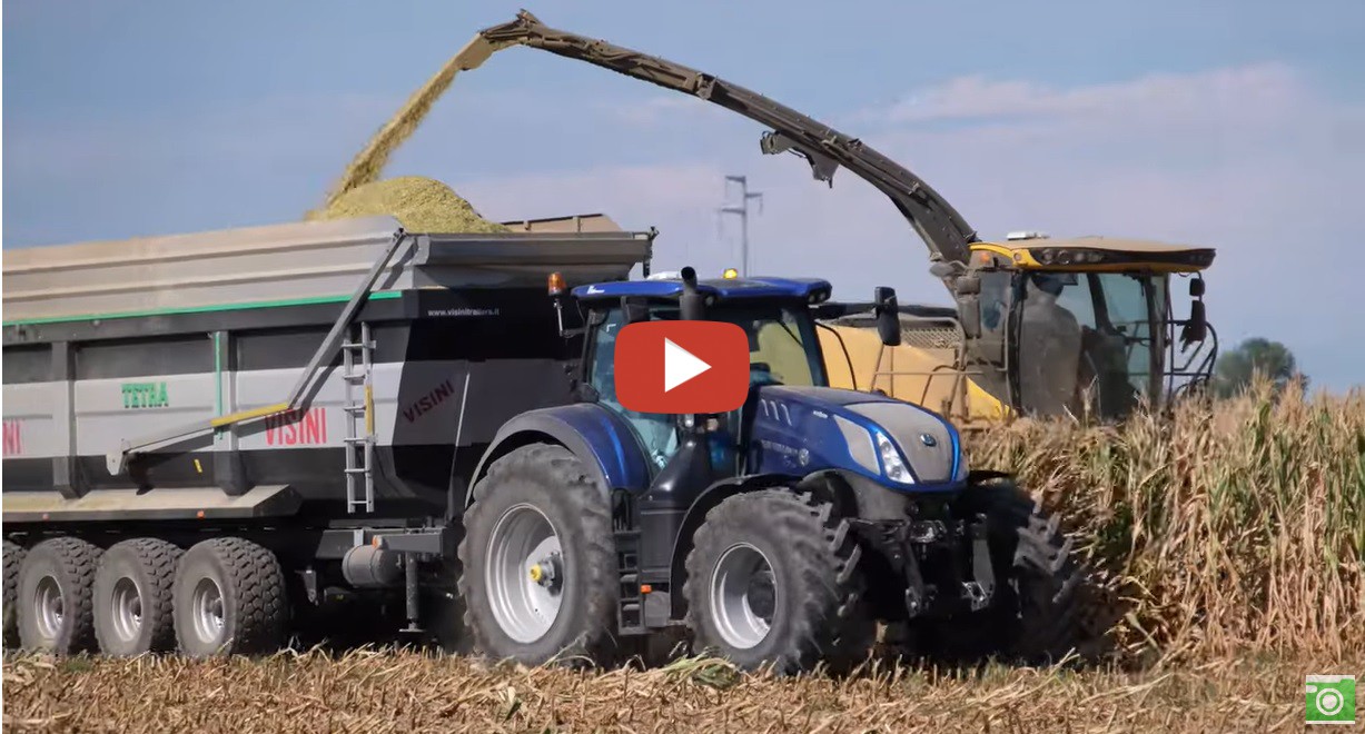 Maisoogst in Italië 2022 met een New Holland hakselaar.. Case ih en New ...