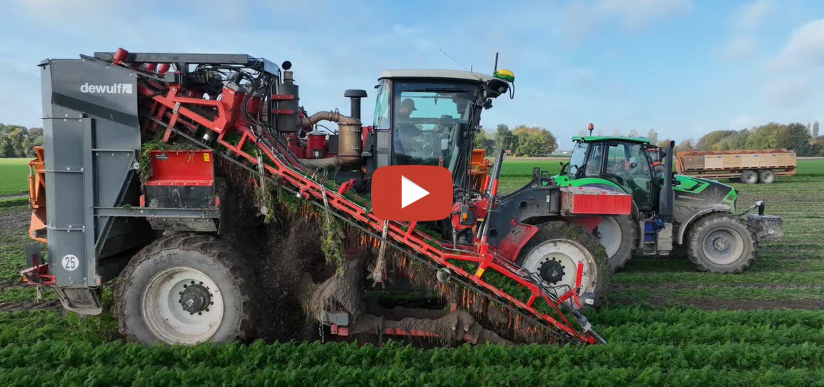 Peen rooien oftewel winterwortels rooien met een De Wulff tweerij ...