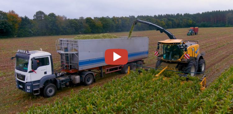 Kamasu666 Agri Videos - Mais 2022 : Milchhof Vietlübbe in het Noord ...