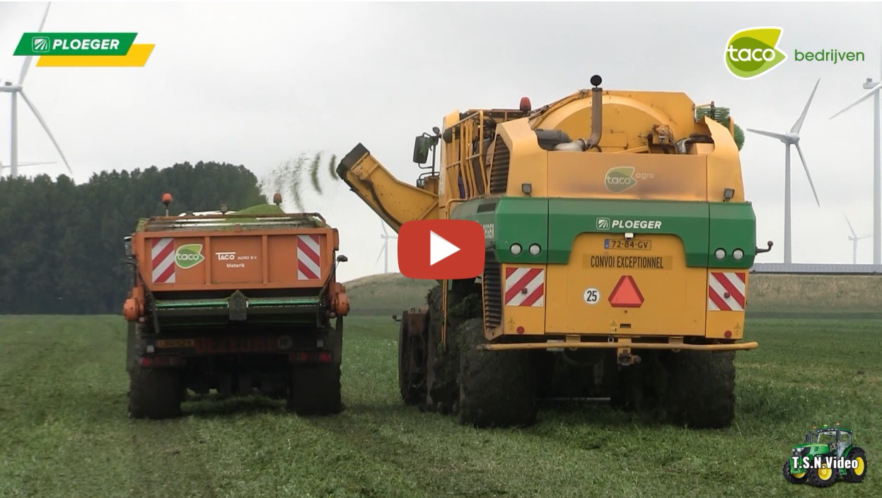 Erwten oogsten door Taco bedrijven bij Melkveebedrijf Straathof in ...