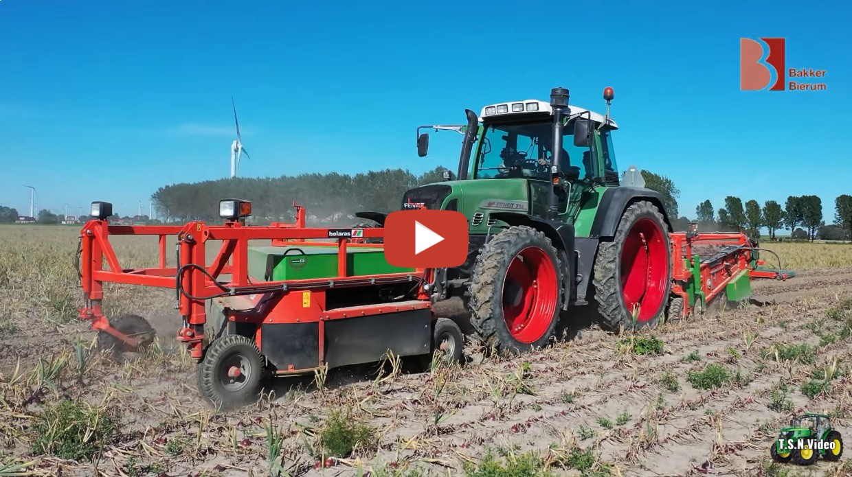 Bakker Bierum is van start gegaan met het rooien van rode uien. Dit ...