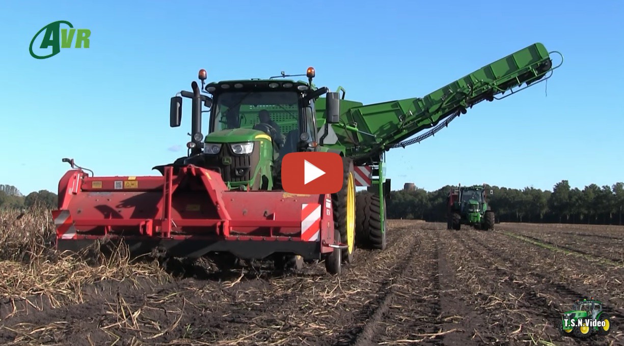 Aardappelen rooien met de AVR Spirit 6200 door Akkerbouwbedrijf Molema ...