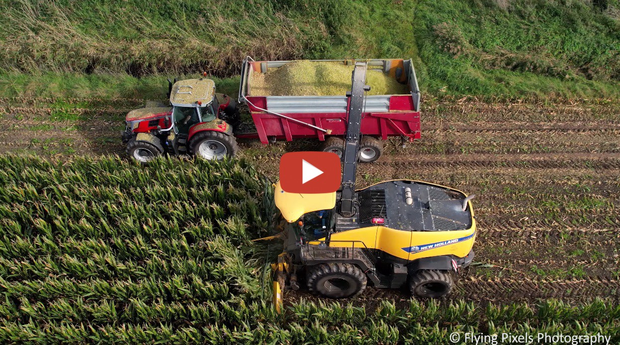 *Flying Pixels Photography -- Mais hakselen door BWA Agro uit Lage ...