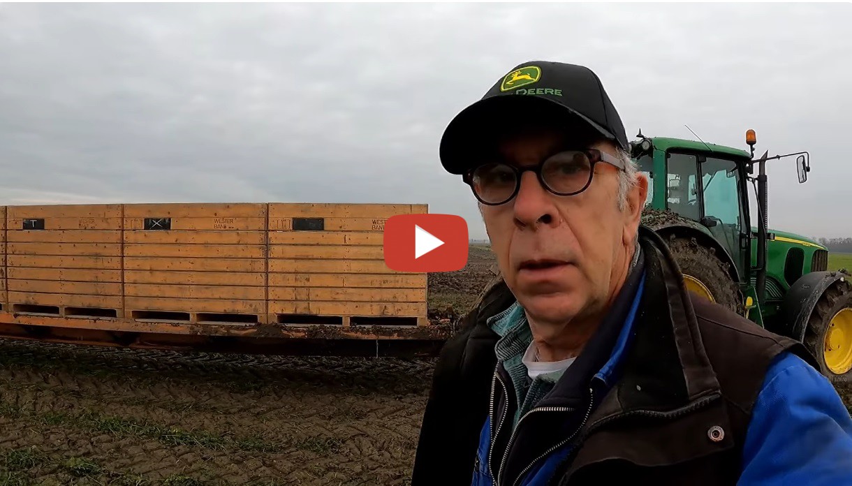 Jilles Boer - Wortels en suikerbieten rooien- Afgelopen week heb ik ...