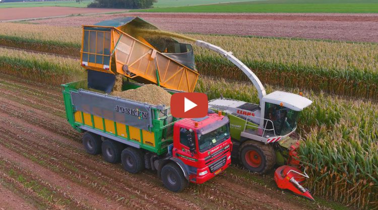 . Kamasu666 Agri Videos - Mais 2023 - Bij Tolkamp Agri Service met een ...