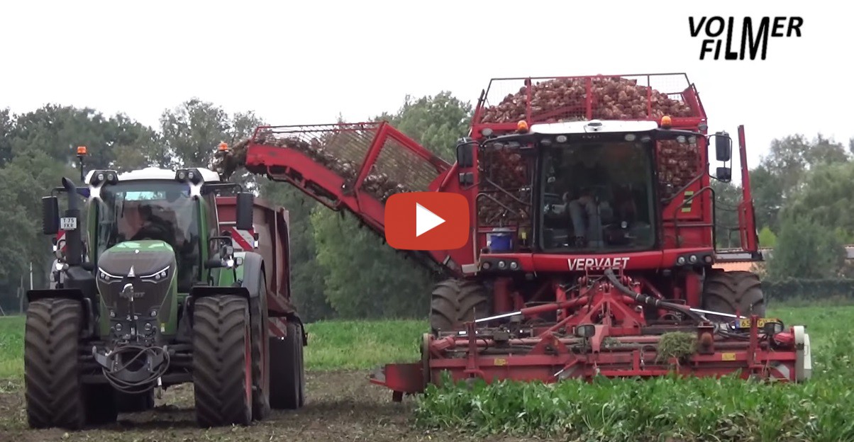 VolmerFilm 2023 - Suikerbieten rooien met de Vervaet 925 rooier door ...