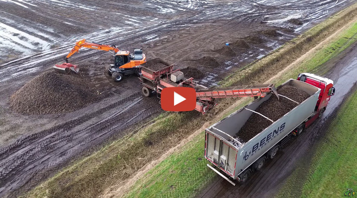 Fabrieksaardappelen laden voor Avebe Oost Groningen met een kraan en ...