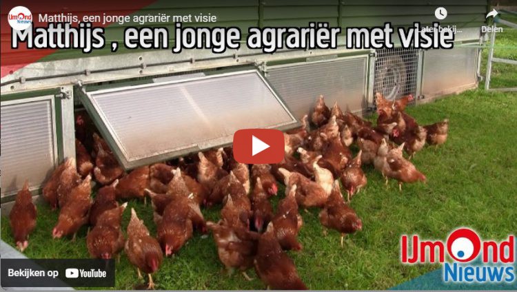 Matthijs, een jonge agrariër met visie - Koeien en kippen op hetzelfde ...